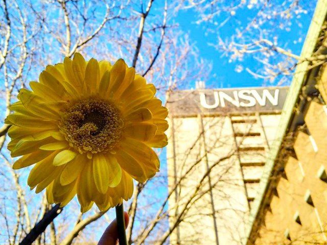 新南威爾斯大學The University of New South Wales,UNSW | 澳洲留學
